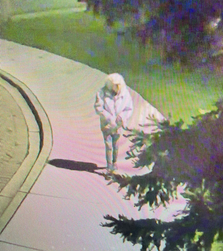 Woman goes missing in countryside, seen on camera: cops