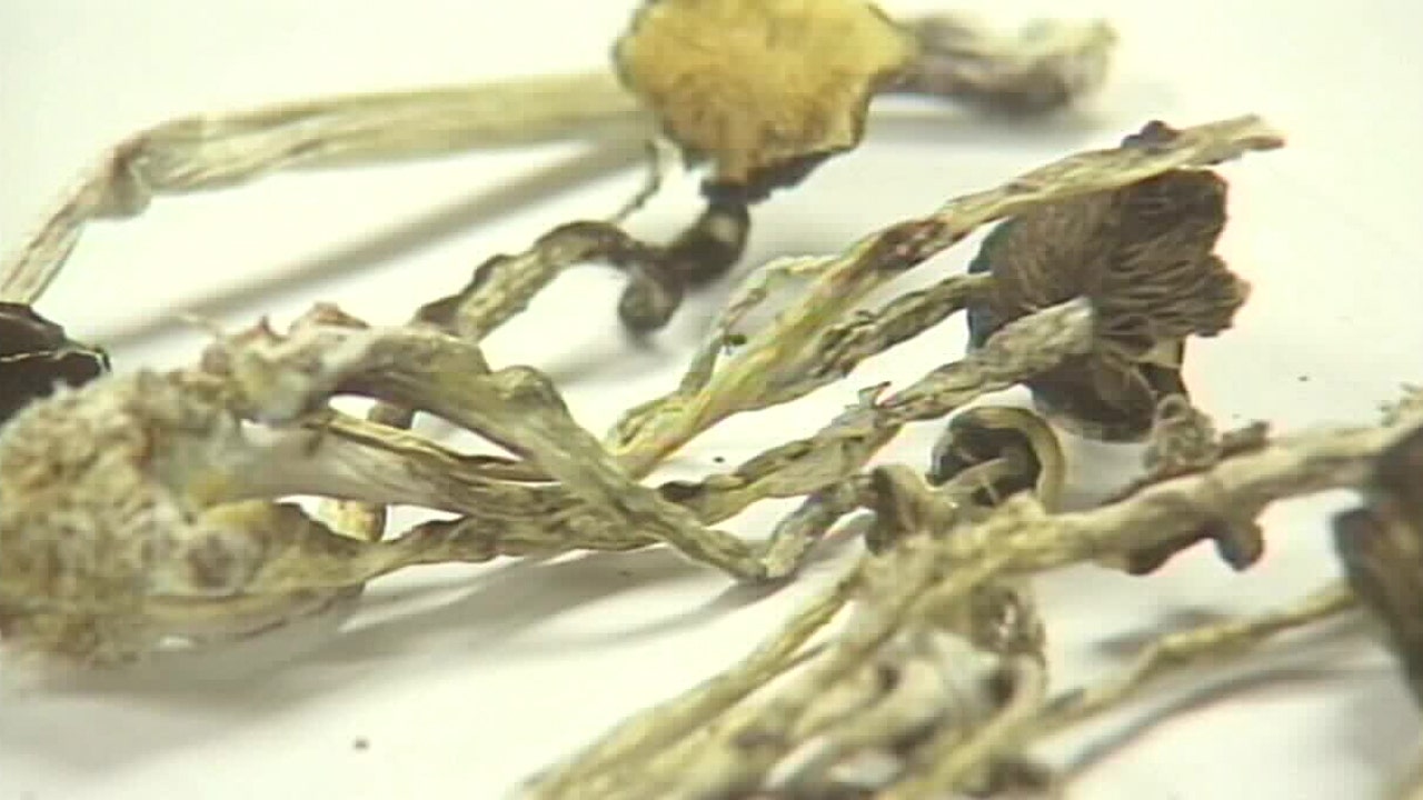 Minnesota magic mushrooms: State lawmakers on the verge of approving ...