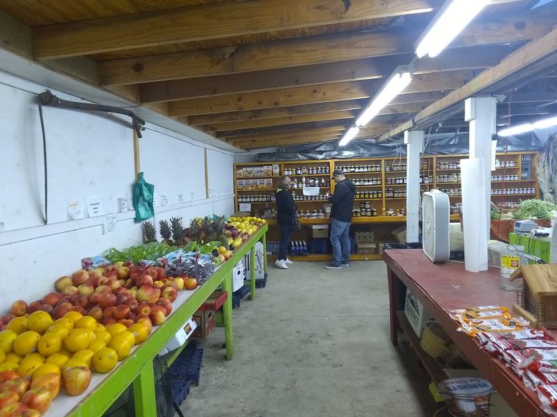 The enormous flea market in West Virginia that keeps you walking and ...