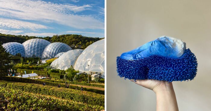 15 biomimicry examples that prove nature solves it best