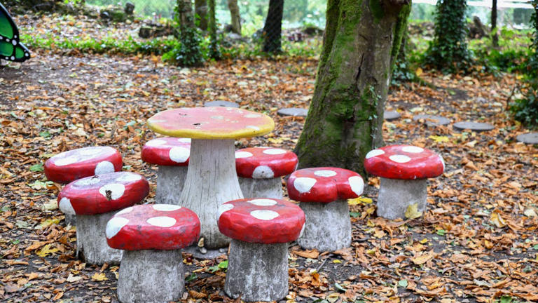 Create a whimsical DIY mushroom table and chairs set for your kids' garden