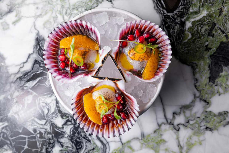 Ceviche Project