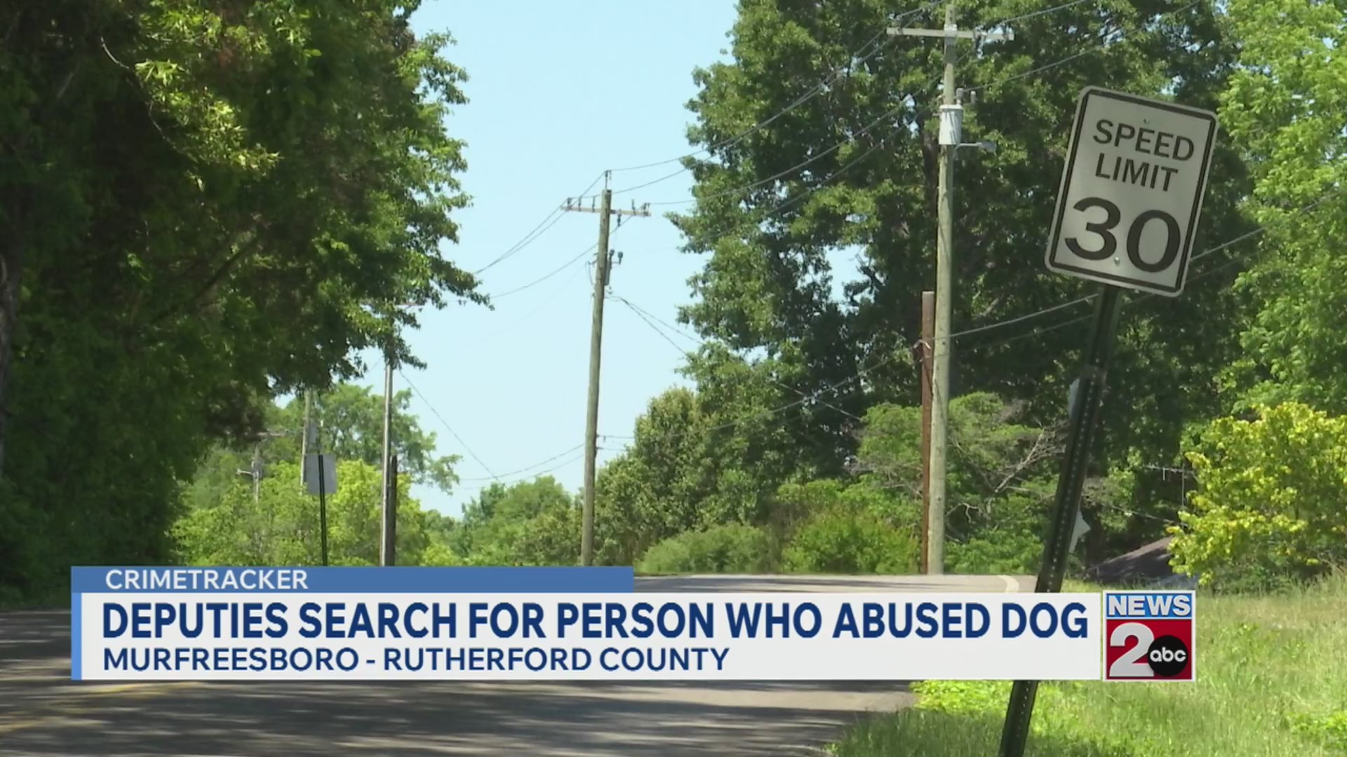 Rutherford County deputies searching for person who abused dog