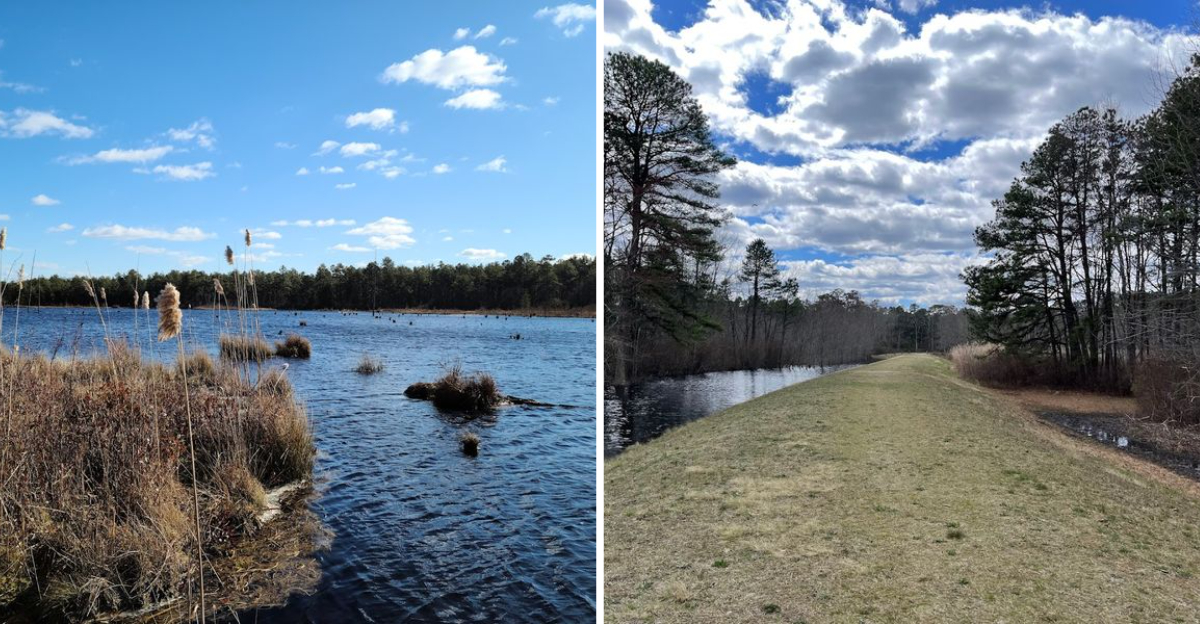This wildlife area in New Jersey is a haven for hikers and nature lovers