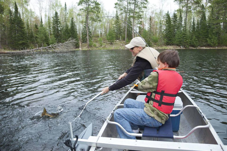 Fishing license registrations drop nationwide but Minnesota DNR says ...