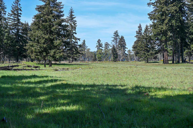 JBLM has secret, undeveloped prairies. Here's how to access them