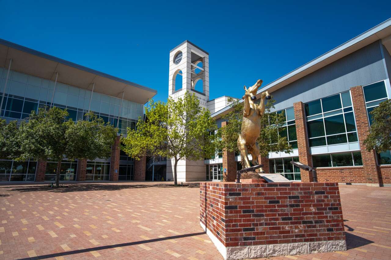 Laredo College affected by nationwide Canvas cyber incident