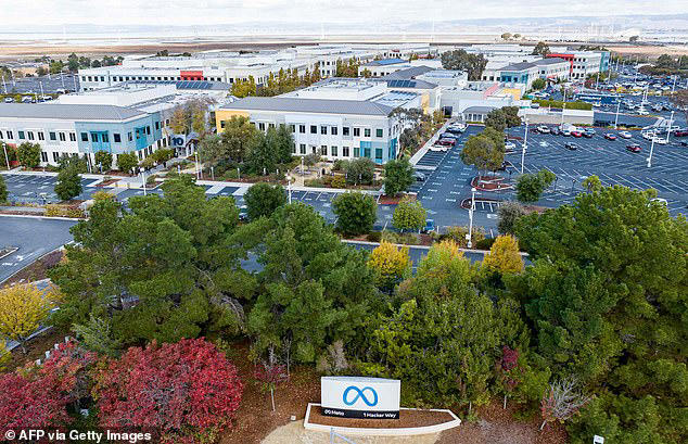 Meta employees erupt after being 'forced to train AI assistants they ...