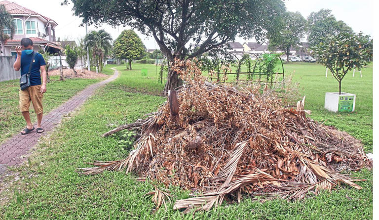 Know the right way to dispose of garden waste