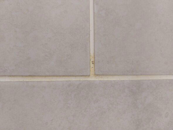 I removed grout mould using HG, Astonish and Mould Magic - there was a ...
