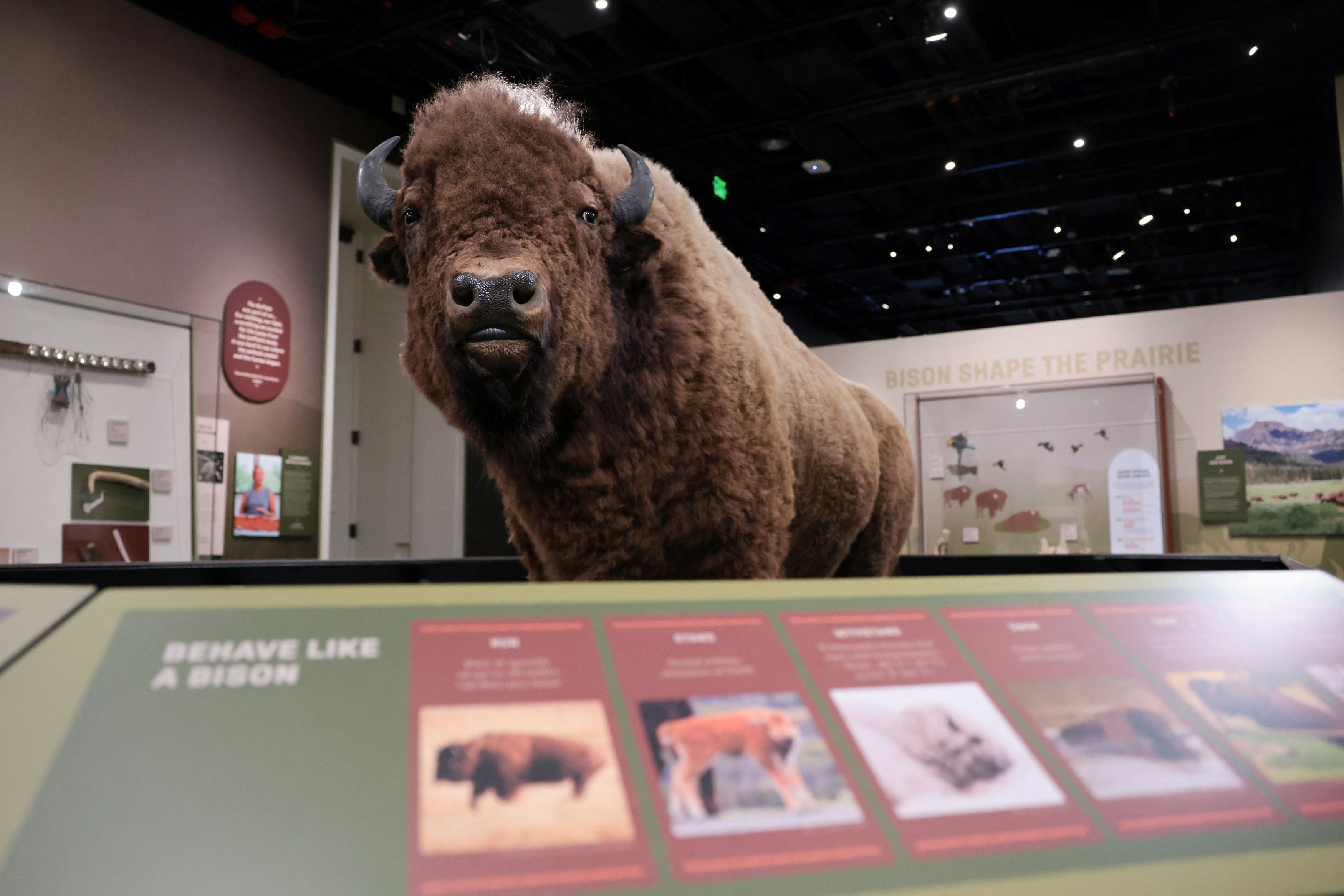 Museum and gallery exhibits in the DC area this week