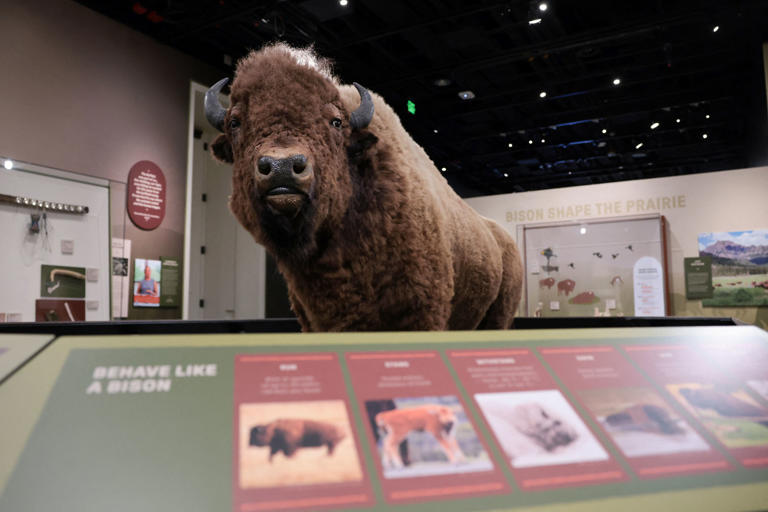 Museum and gallery exhibits in the DC area this week