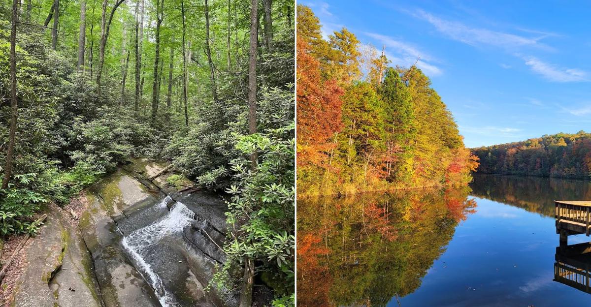 The stunning state park in South Carolina that is perfect for ...