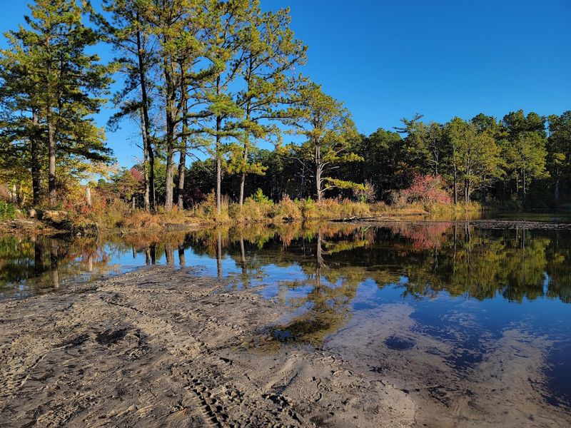 This wildlife area in New Jersey is a haven for hikers and nature lovers