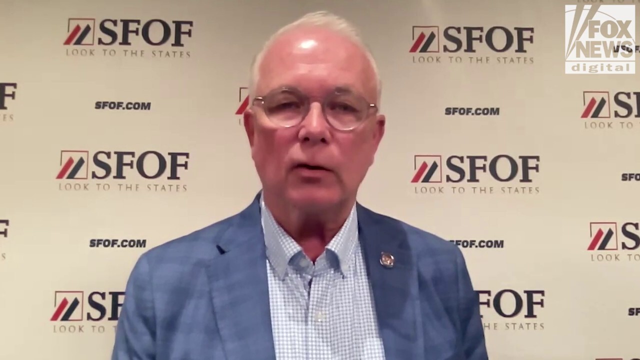 Red state auditor reveals massive fraud concern 'built in by government'