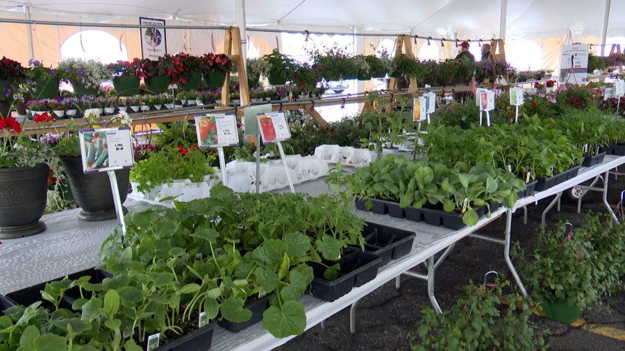 Mother’s Day flower sale aids Camp Limberlost for 17th year