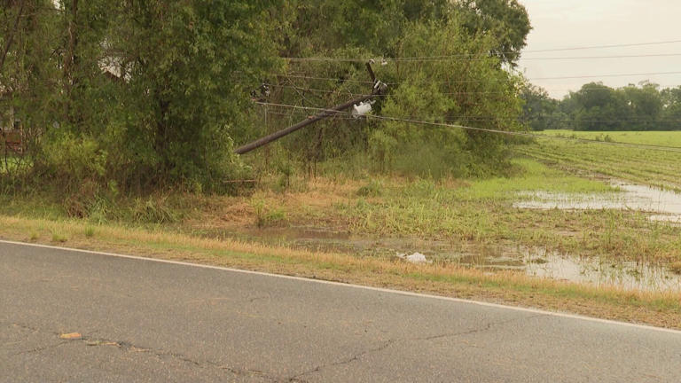 Plaucheville storm damage caused by a macroburst, not a tornado