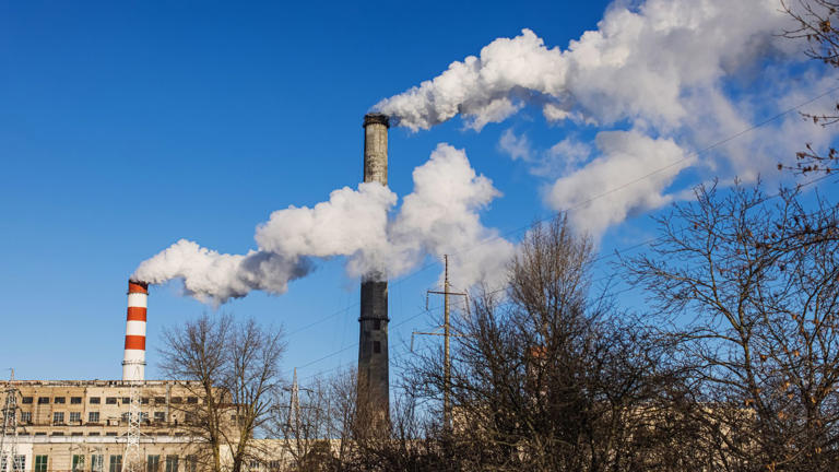 Engineered polyionic liquid delivers seven times stronger carbon ...