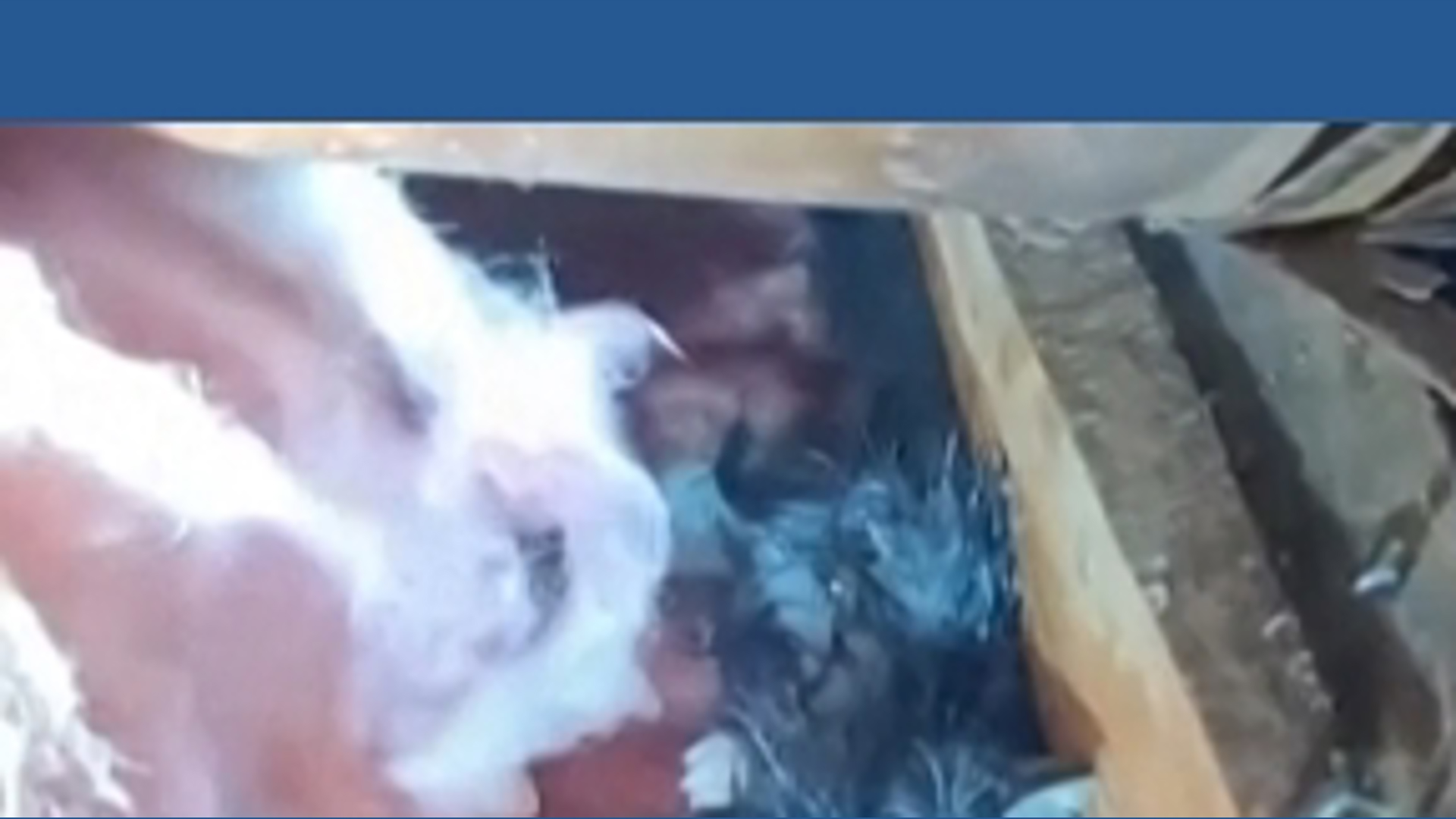 Kitten trapped in rubble after tornado hits home in Mississippi