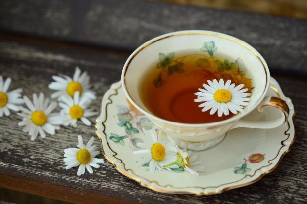 Wellington garden centre to serve Chelsea Flower Show-themed afternoon tea