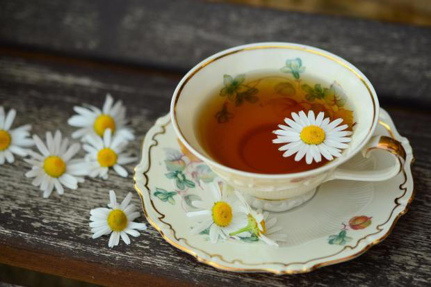 Wellington garden centre to serve Chelsea Flower Show-themed afternoon tea