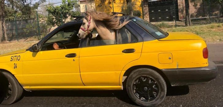 20+ taxi stories that prove the best rides are a lesson in humanity
