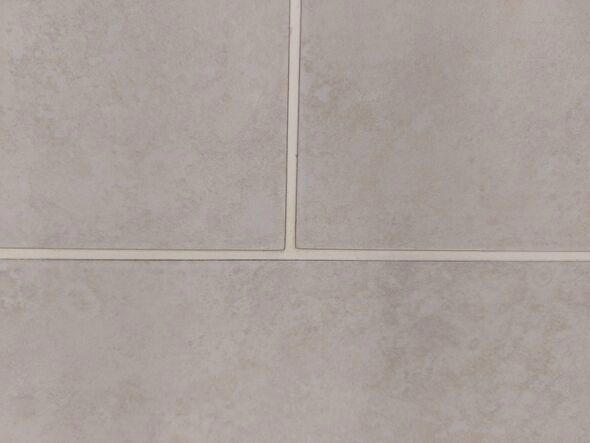 I removed grout mould using HG, Astonish and Mould Magic - there was a ...