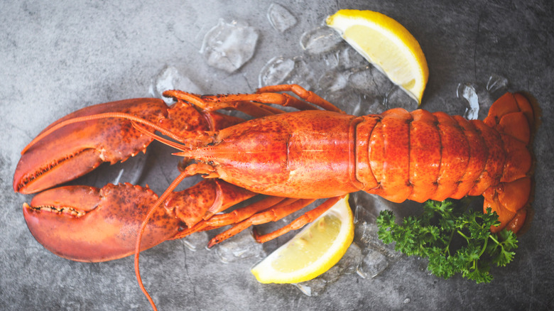 11 mistakes you are making preparing lobster