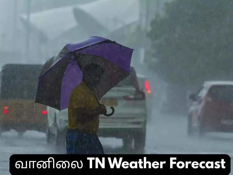 Weather Tamil Nadu: Check forecast for Chennai, Coimbatore ...