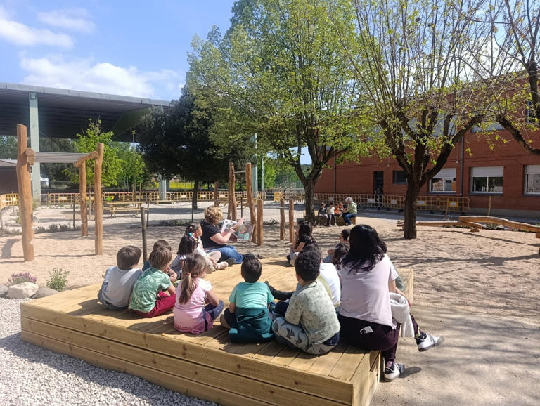 Más allá de plantar flores: renaturalizar los patios escolares, una ...