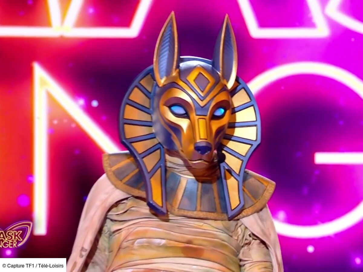 Mask Singer 2026 : Quelle célébrité se cachait sous le costume de la ...