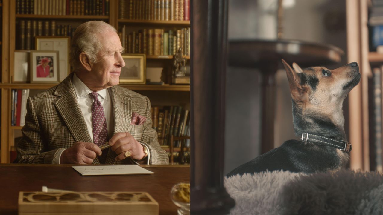 Queen Camilla's dog, Moley, and a group of wild animals deliver a ...