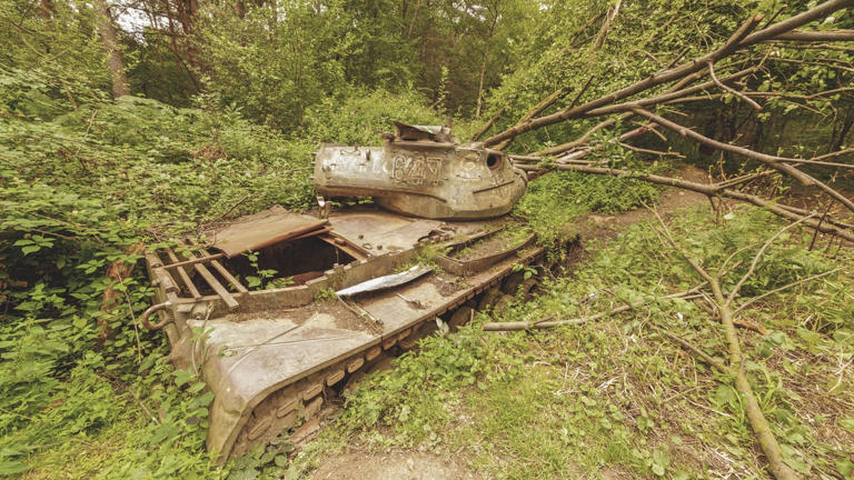 Zwischen alten Panzern und Bunkern durch den Wald spazieren
