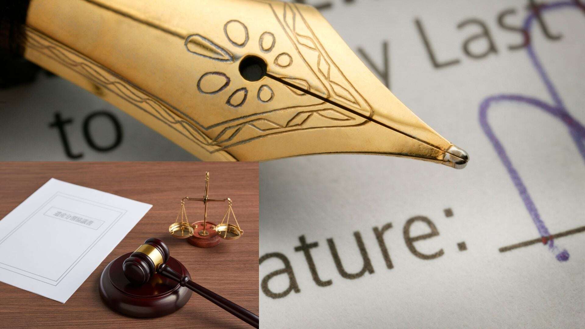 NJ zoning inspector, accomplices admit to taking bribes to forge ...