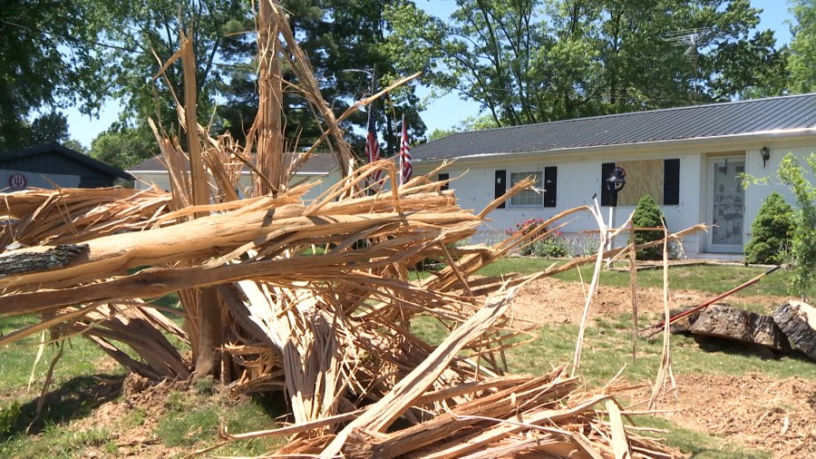 Lightning strike obliterates Perry County tree