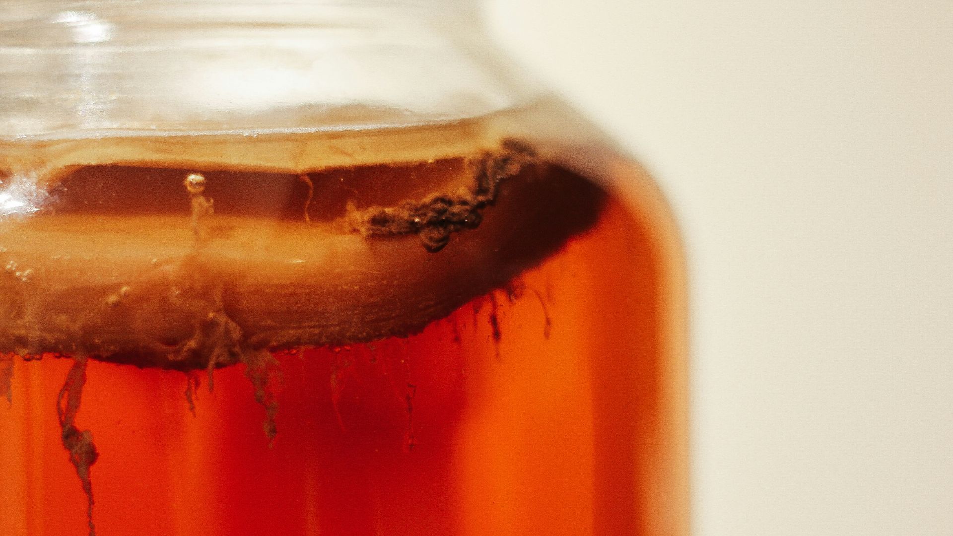 20 things people pretend are acquired tastes but are just bad