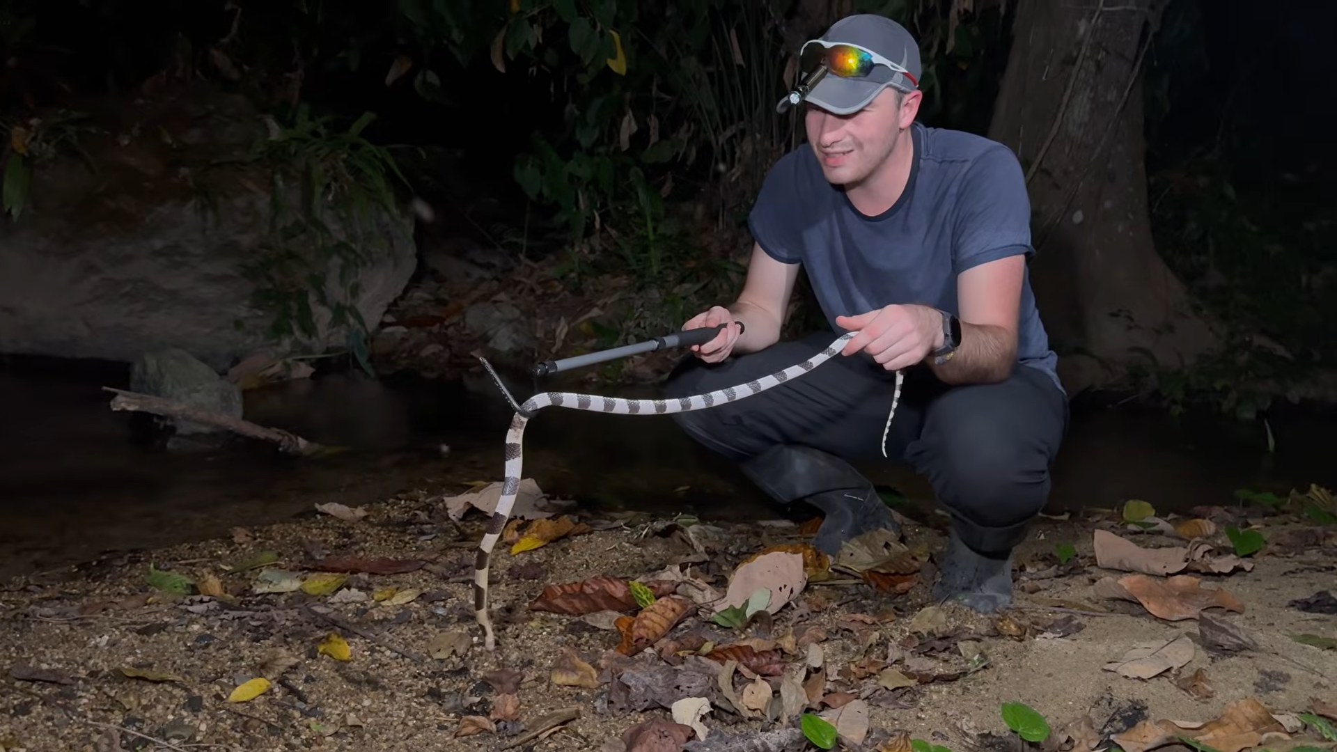 He thought he had control over this deadly snake - then it started moving