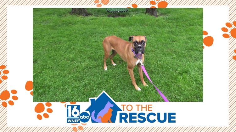 16 to the rescue: Bristol