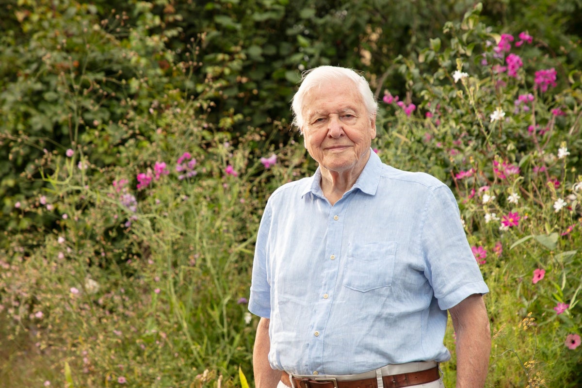 King leads tributes to David Attenborough at 100th birthday event