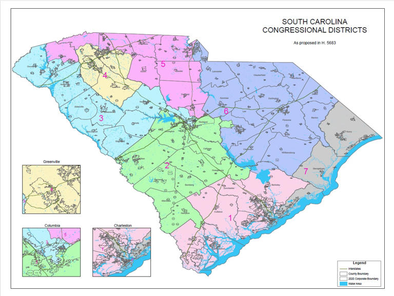 SC lawmakers take step toward delaying congressional primaries, hear ...