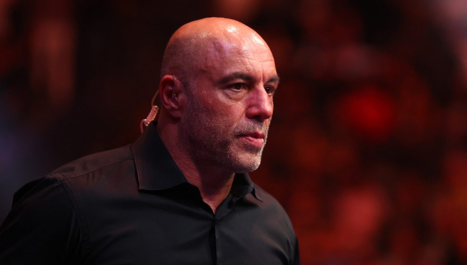 TV host fired for praising Joe Rogan
