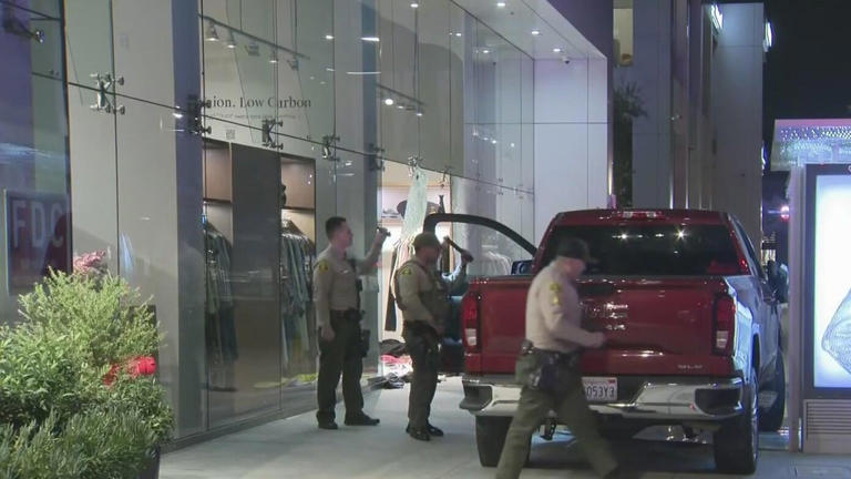 Thieves target luxury West Hollywood consignment store, crashing into ...