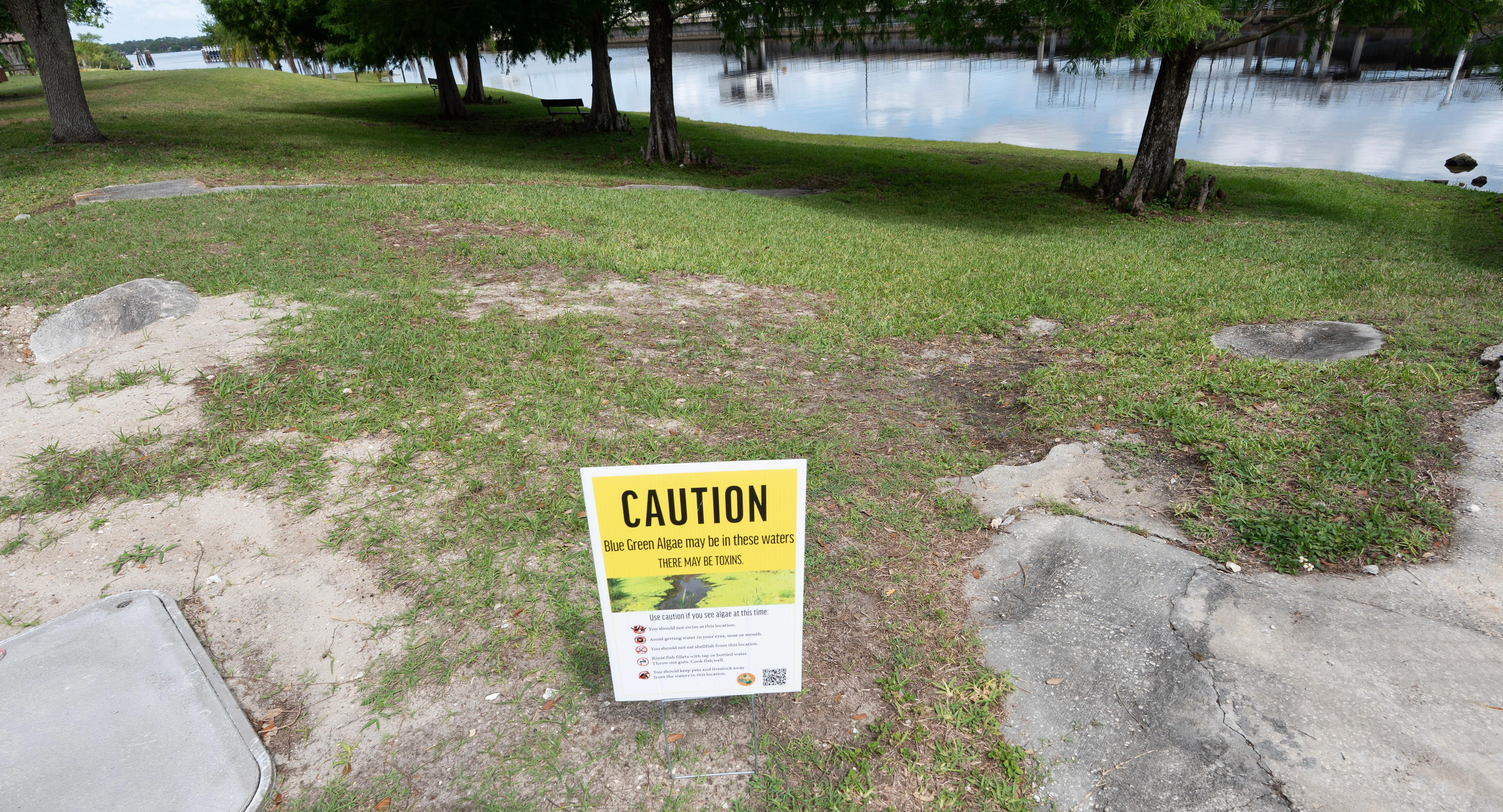 Health alert issued for blue-green algae in Caloosahatchee River