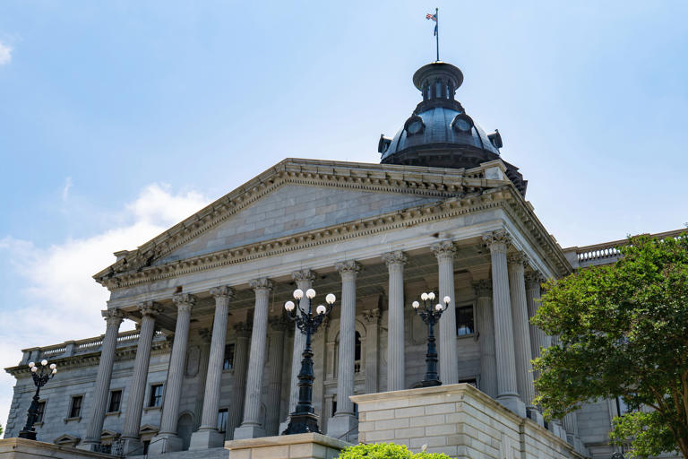 SC lawmakers take step toward delaying congressional primaries, hear ...