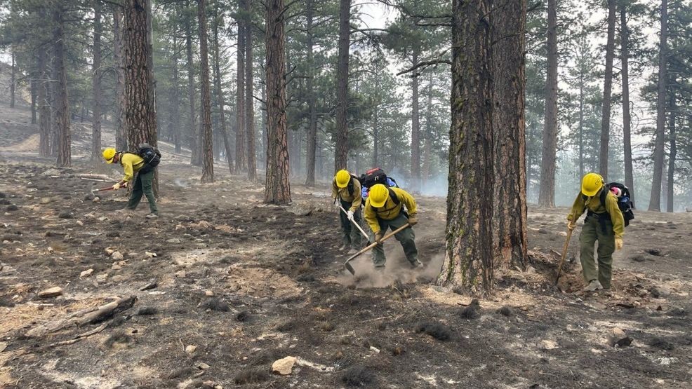 Pine Mountain fire sees limited growth overnight, officials say fire is ...