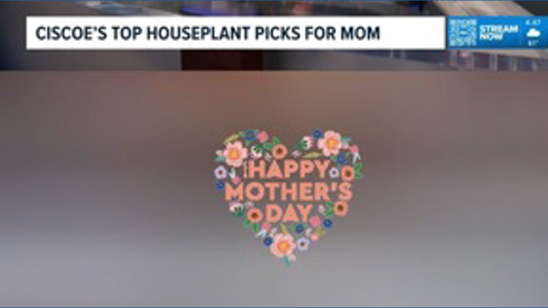 Ciscoe Morris shares unusual plant for Mother's Day