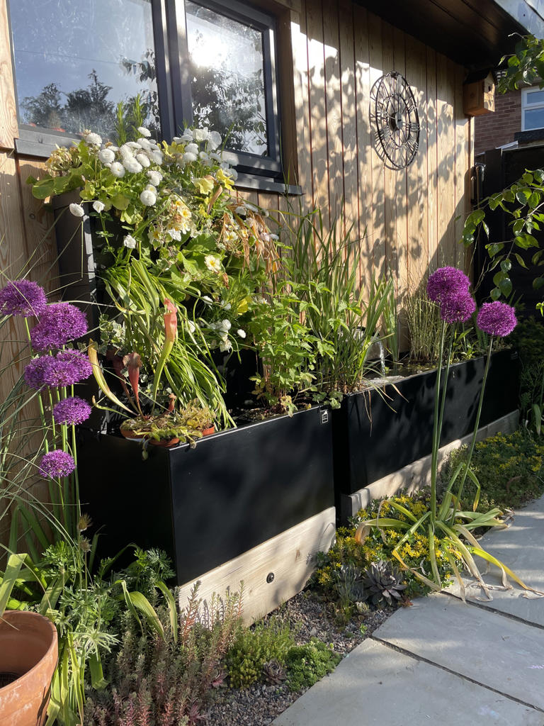 Dipping tanks are the beautiful way to store rainwater in your garden