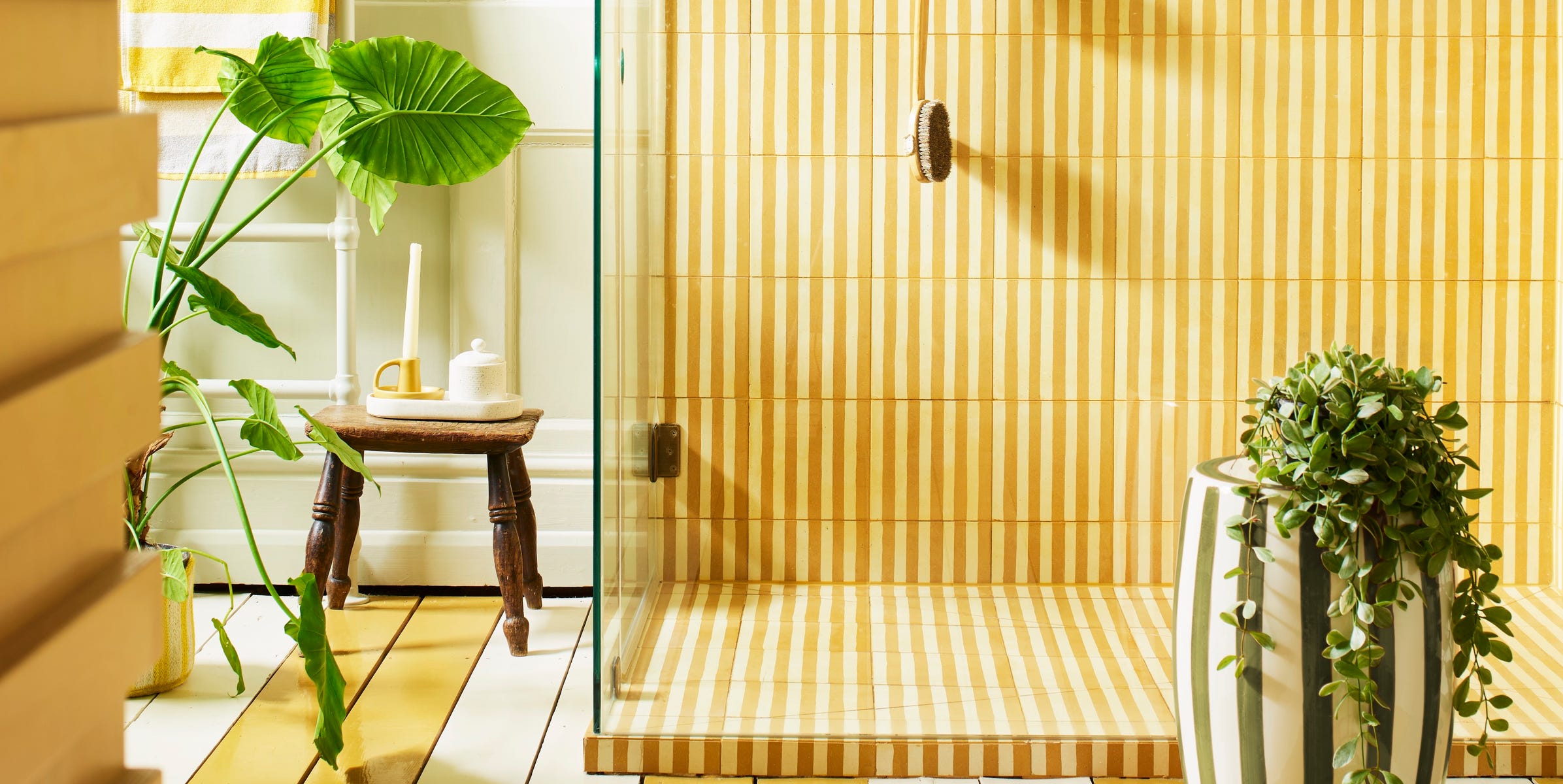 The best houseplants for mould-prone bathrooms, from peace lilies to ...
