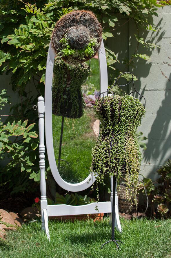 UK households urged to put mirrors in gardens