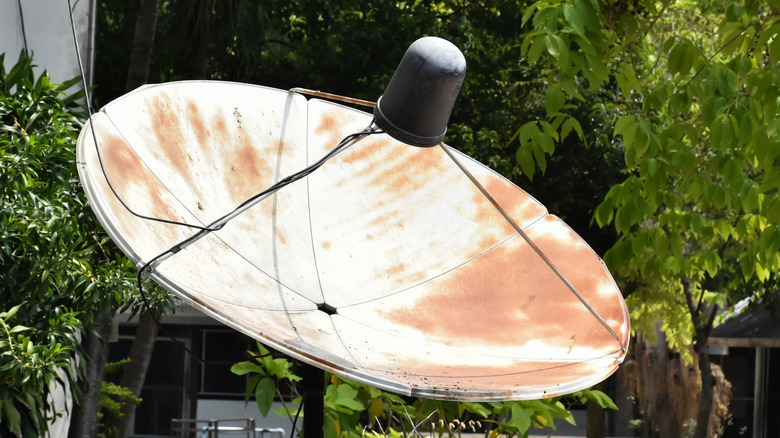 Remember those giant satellite dishes that were everywhere? Here's what ...